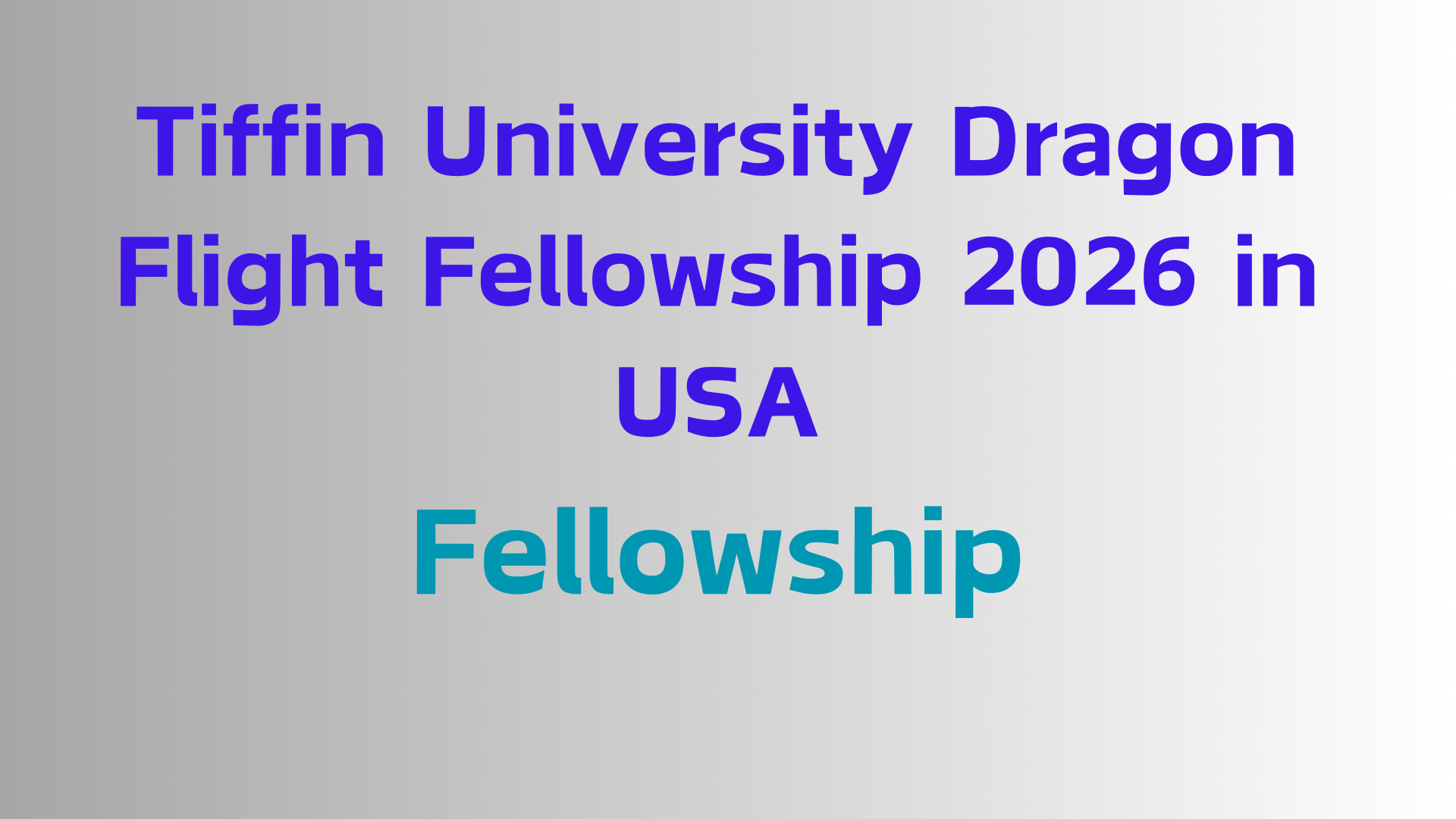 Tiffin University Dragon Flight Fellowship 2026 in USA - the bright ...